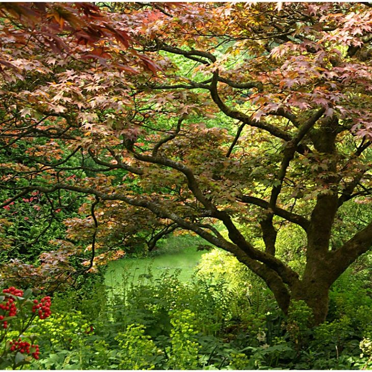 Gallery – John Riley Photography