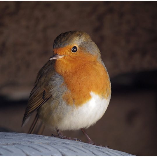Gallery – John Riley Photography