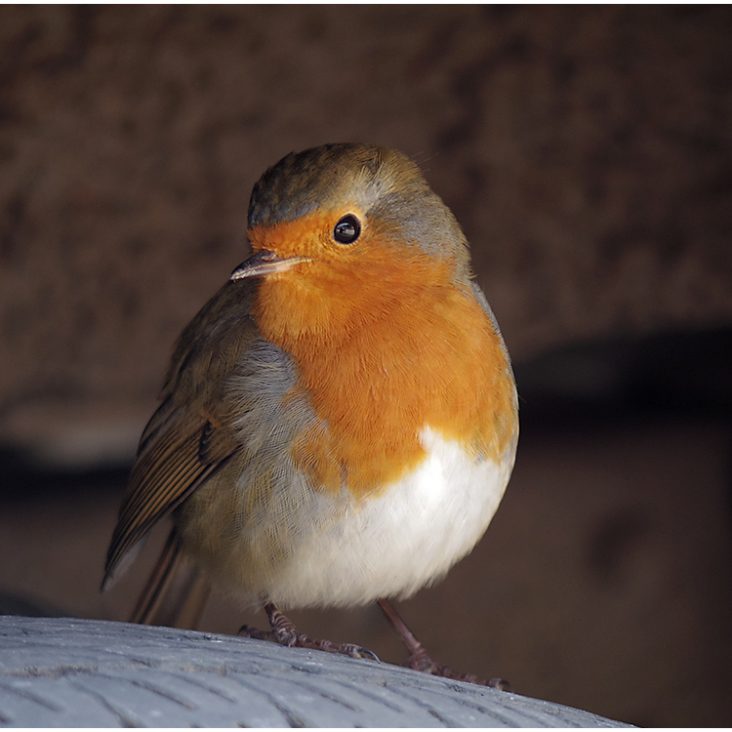 Gallery – John Riley Photography