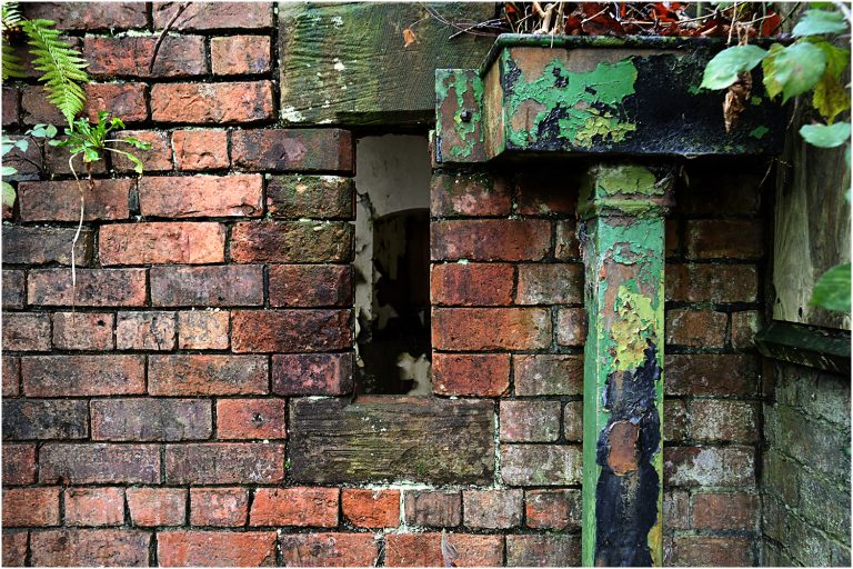 POTW – Beauty in Decay – John Riley Photography